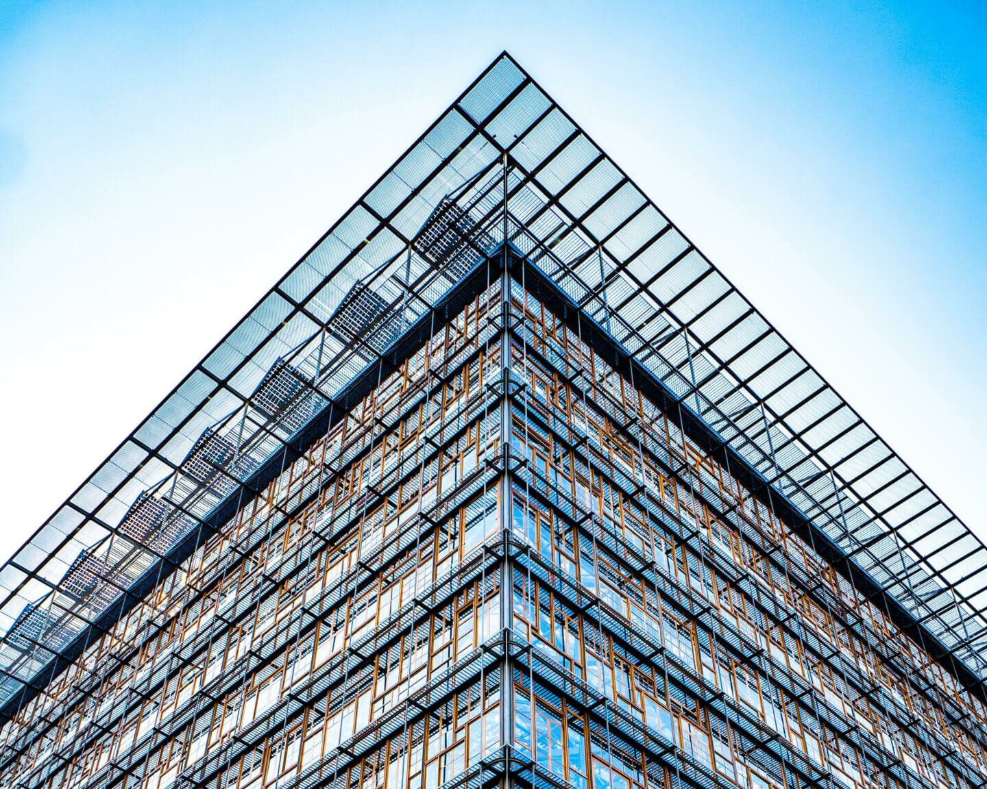 Dynaton Limited NZ- Support from the ground up